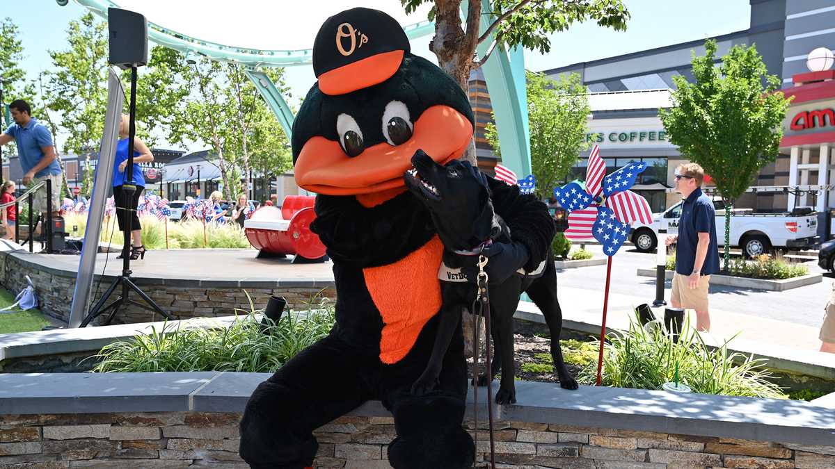 A Salute to Camden photos