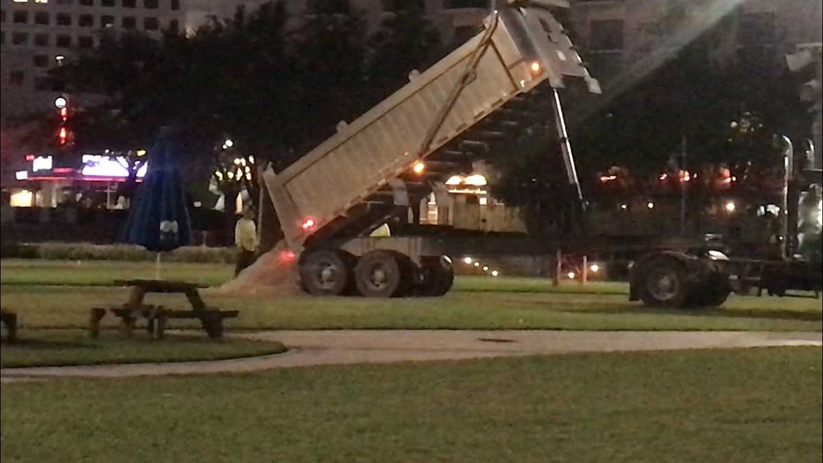 Iconic holiday tree Sandi to come to West Palm Beach