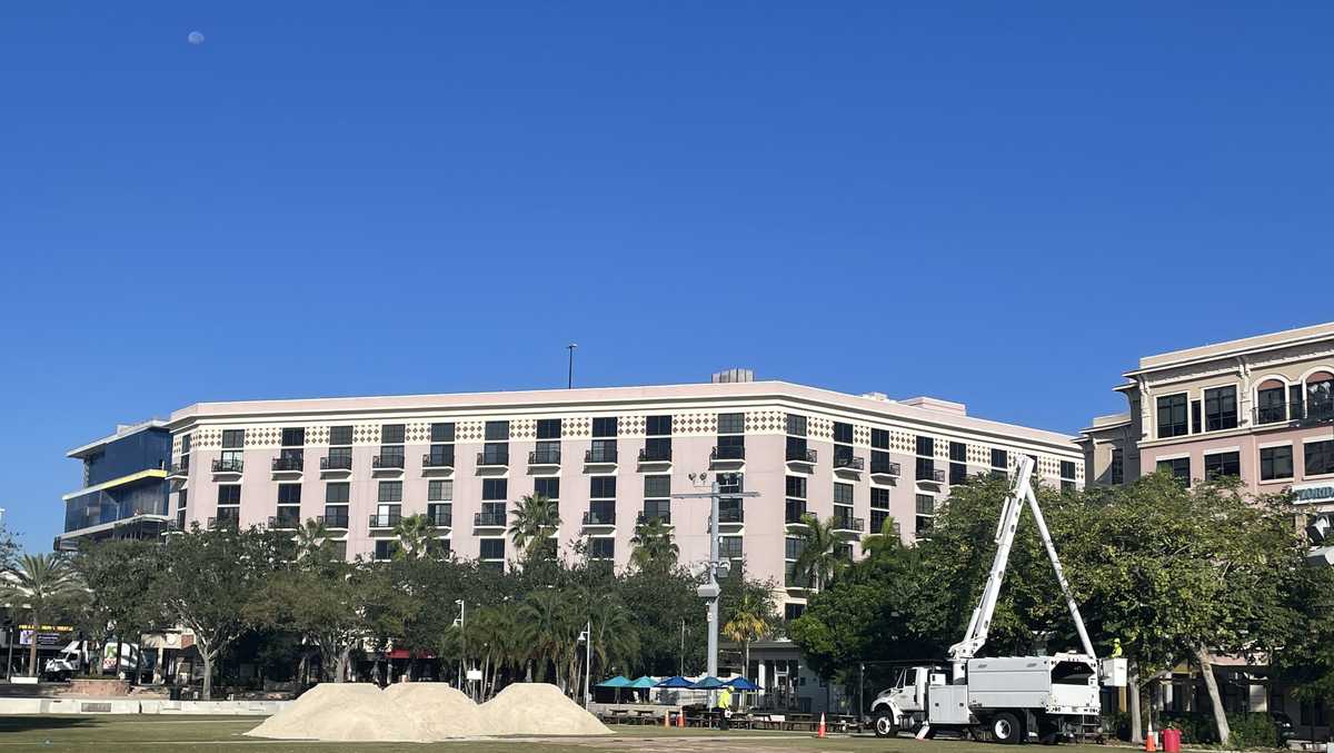 12th Annual Sandi Tree Lighting