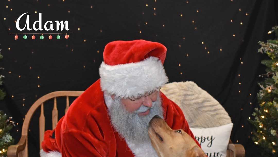 Shelter pets pose for pictures with Santa, hoping to find families to ...