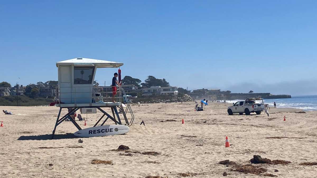 Lifeguards anticipate large crowds at Monterey Bay beaches