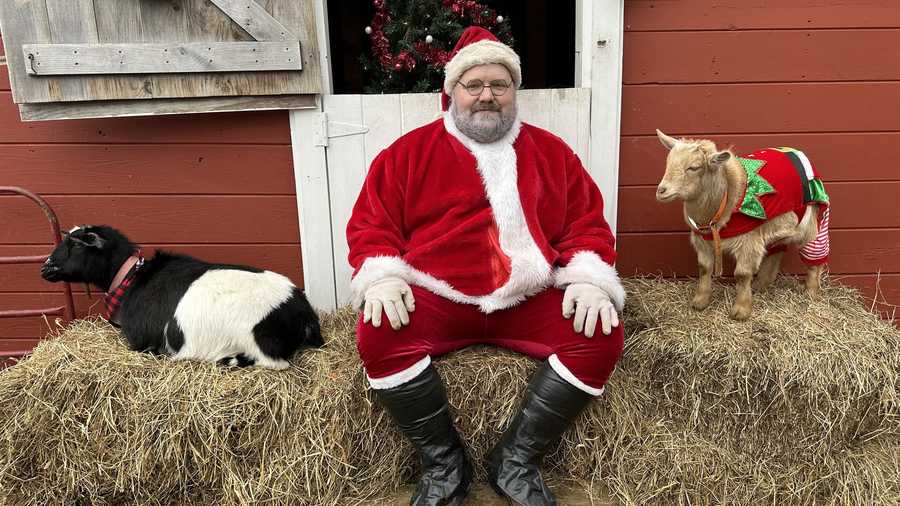 Smiling Hill Farm hosts visit with Santa and goats this weekend