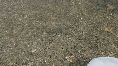 PHOTOS: Large hail being seen in western Iowa