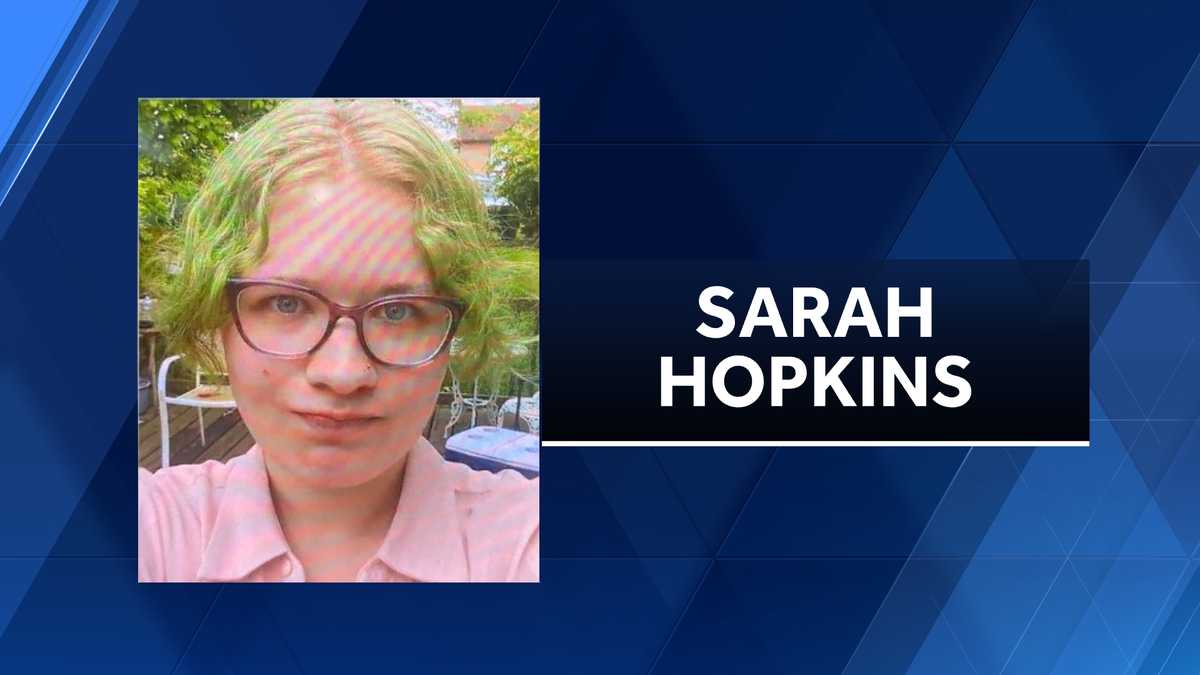Sarah Hopkins: Missing woman told police she stole vehicle to escape ...