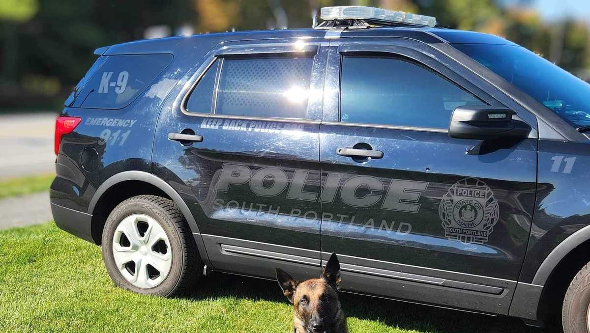South Portland K9 to get special protection thanks to donation
