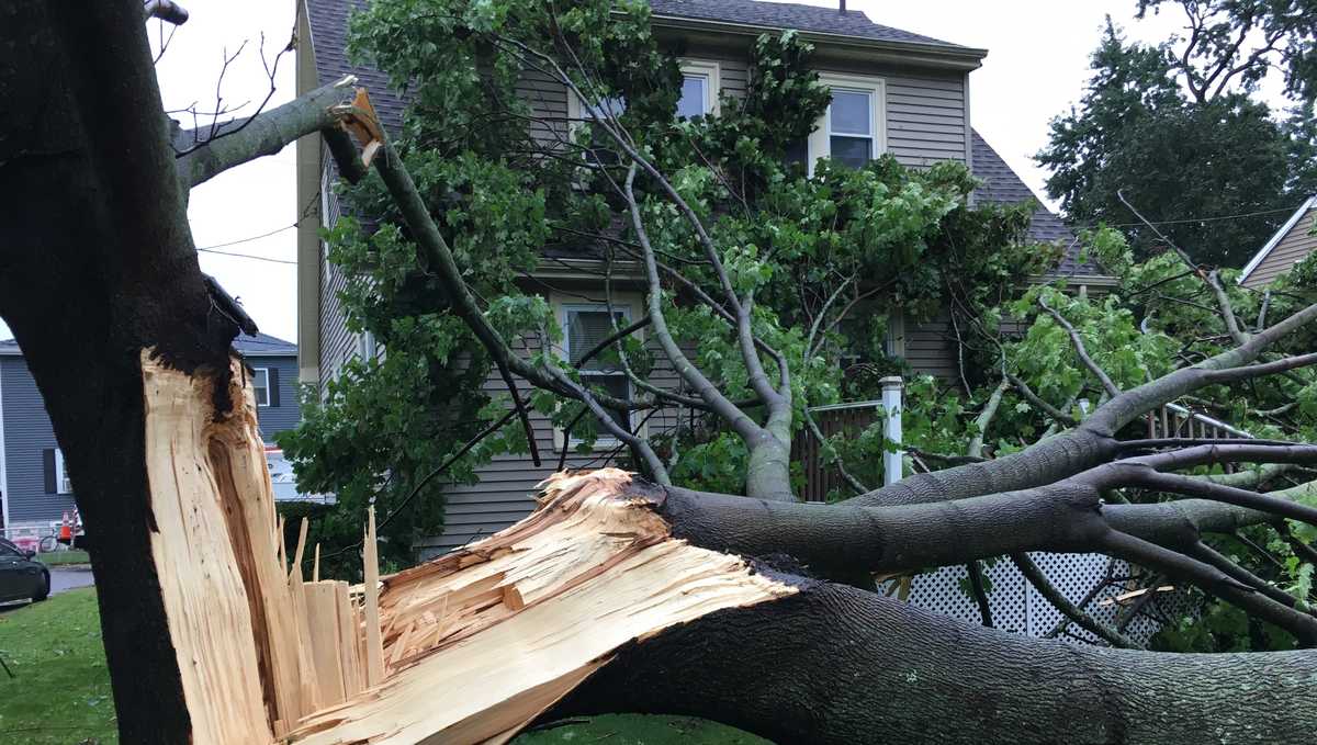 Storm damage in Saugus caused by microburst