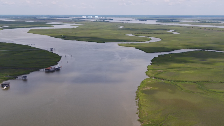 Savannah Harbor expansion moves forward with Senate approval