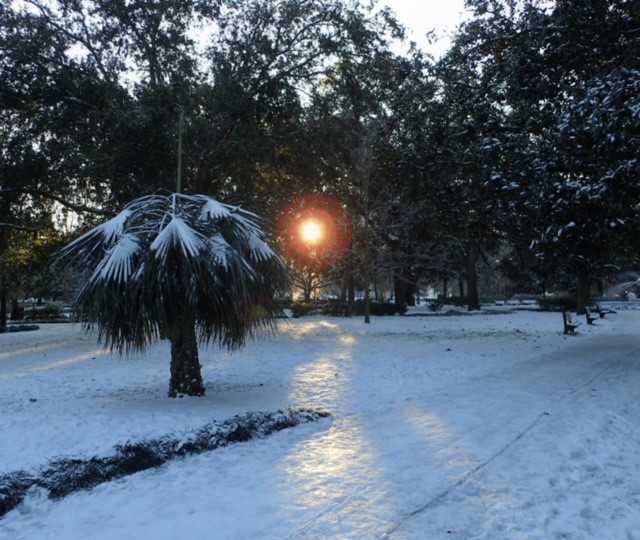 Savannah: El Nino may boost snow chances this winter