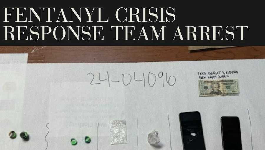 Drug bust operation in Ca. leads to arrest