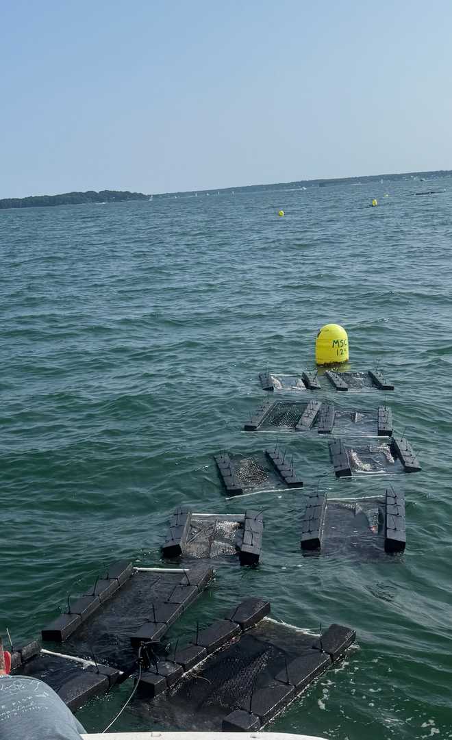 Reward offered in major theft from Falmouth, Maine oyster farm