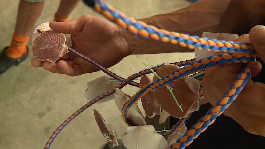 Portland company hoping scallop farming experiment helps expand industry