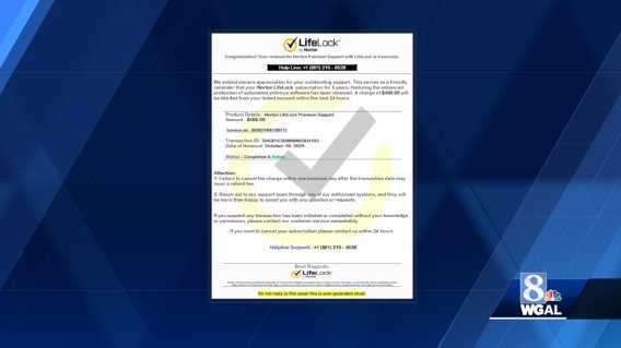 Scammers send fake renewal notices to get your financial information