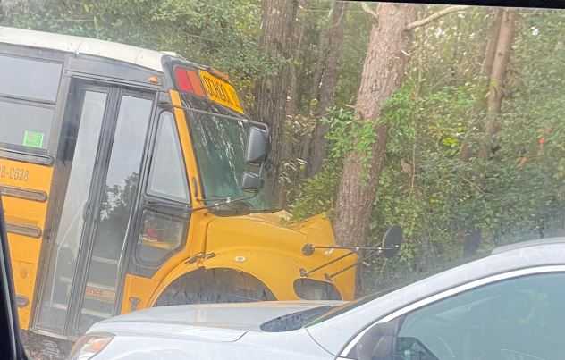School bus hits tree in Anderson County, district says