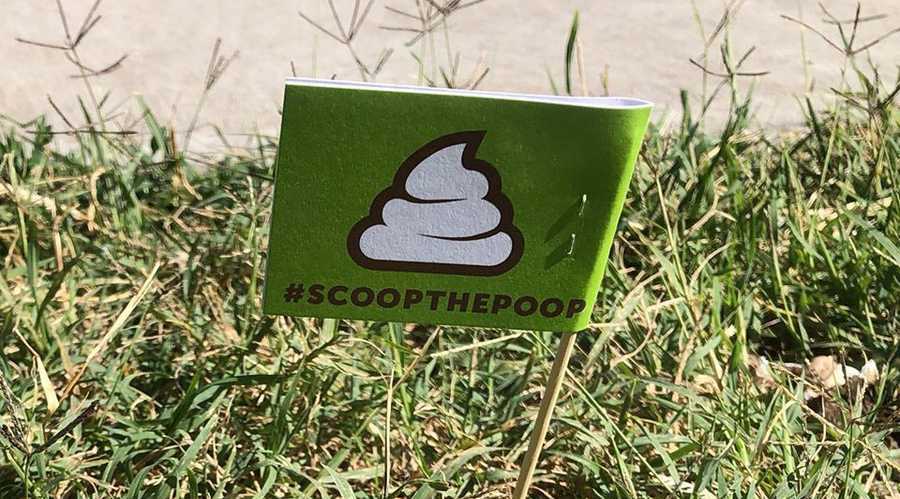 'Is this your turd?': Missouri city's cleanup flags dog poop