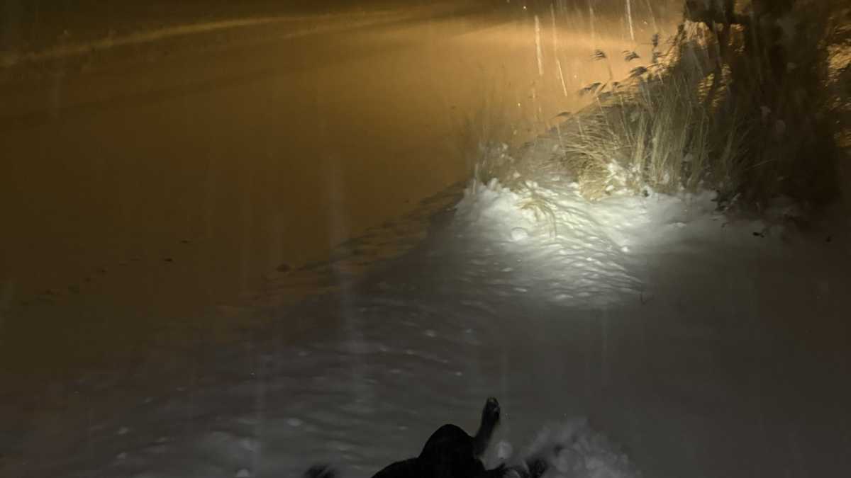 PHOTOS: Major winter storm brings blanket of snow to Greater Cincinnati