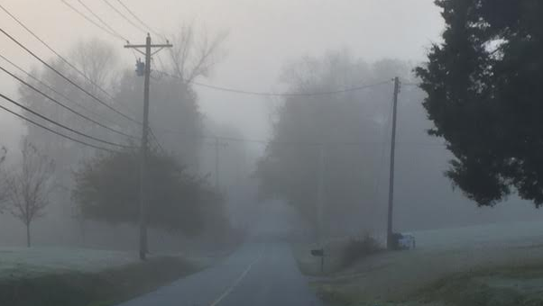 Fog and frost this morning