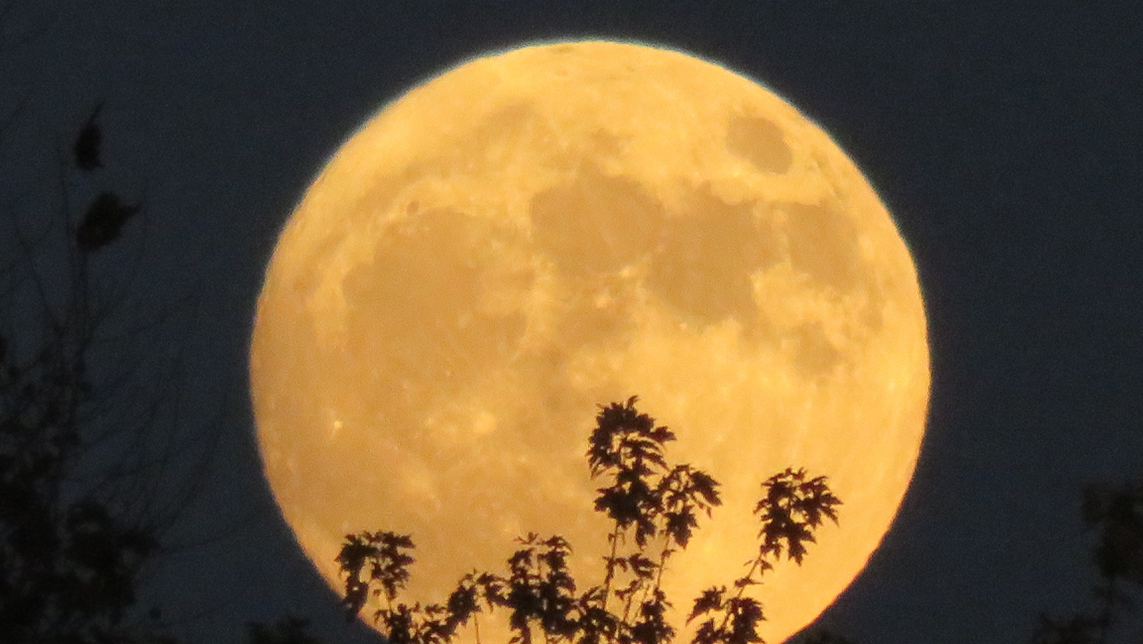 The full moon names for November