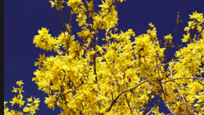 Belski's Blog - April weather folklore