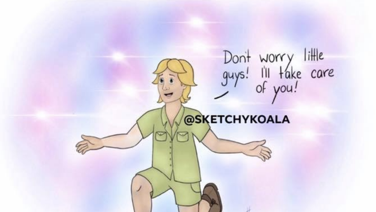 Steve Irwin cartoon welcoming animals from Australian bushfires touches ...