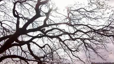 Belski's Blog - Winter is half over