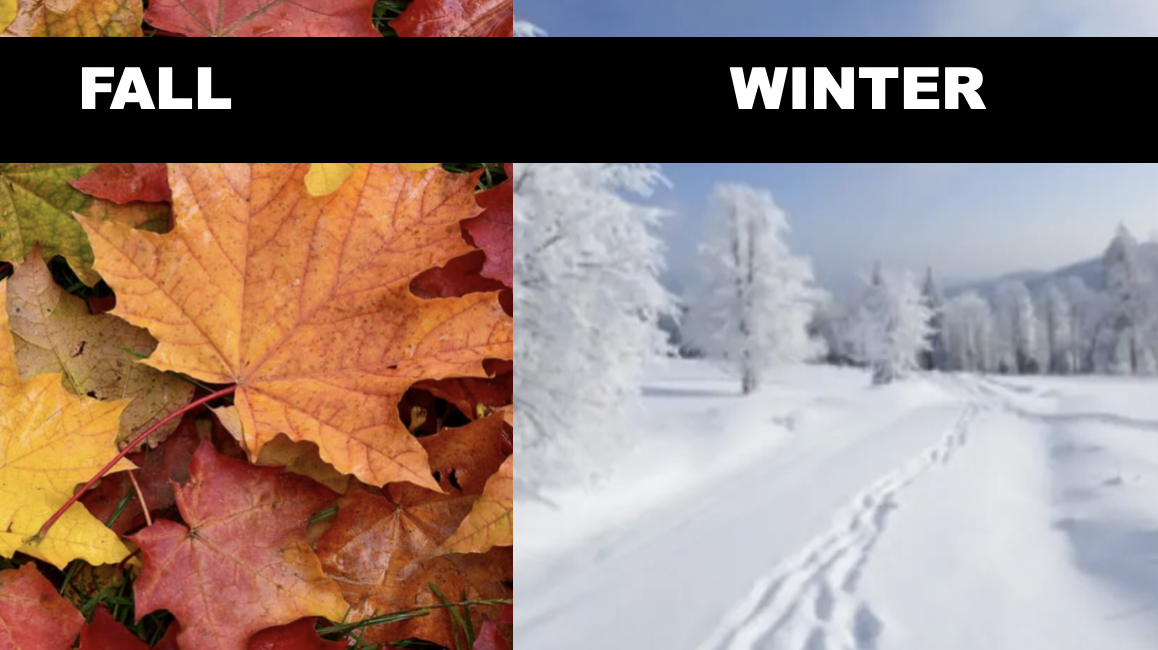 Belski's Blog - Updated fall and winter forecasts