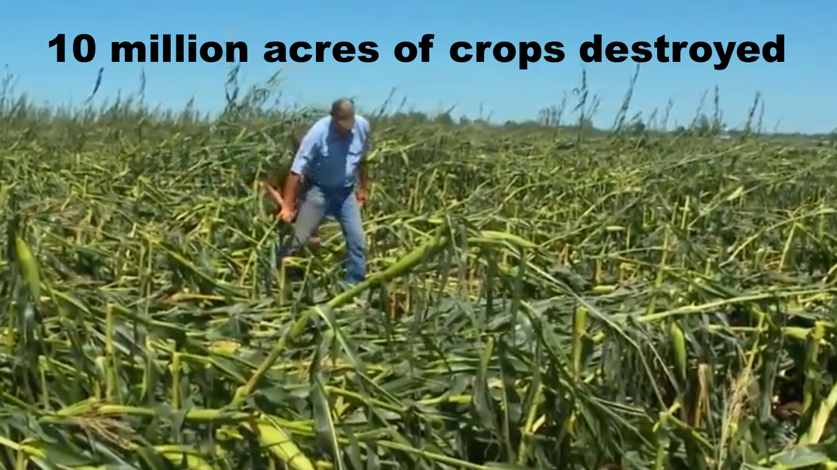 Belski's Blog - Extreme crop damage in Iowa