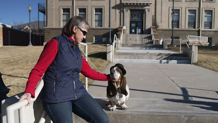 Meet Murdoch, the dog who was just elected mayor of his town