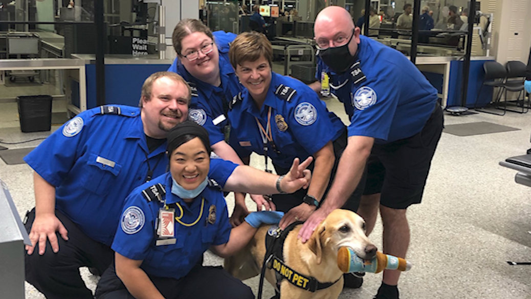 TSA's 'cutest canine' retires after almost 10 years of service