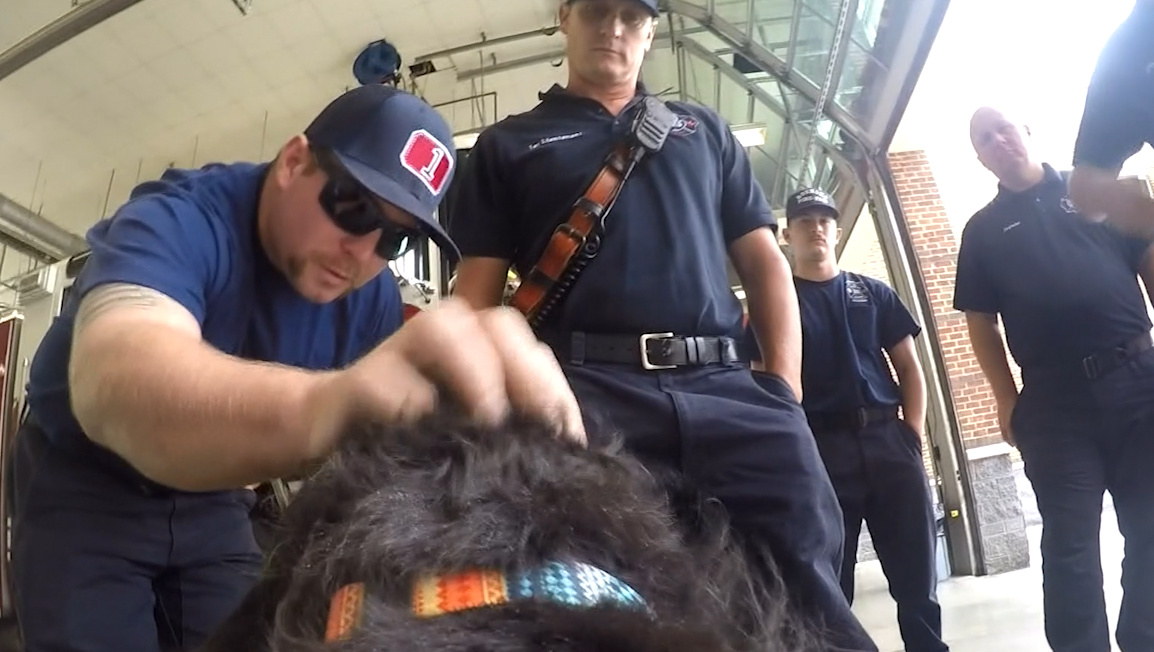 Video: Firefighters reunite with dog they saved from house fire