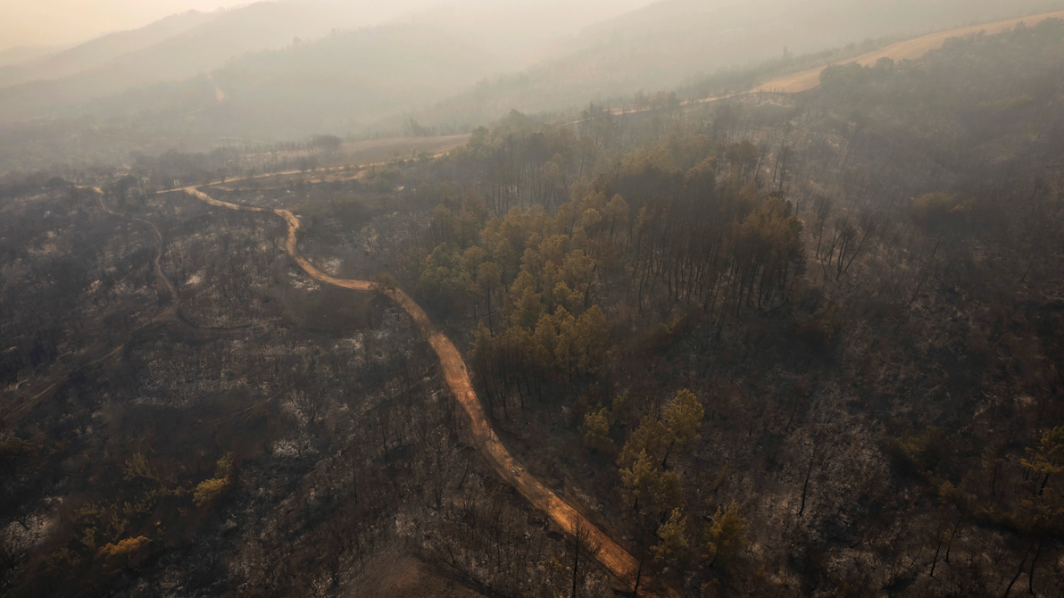 From Europe to Canada to Hawaii, photos capture destructive power of ...