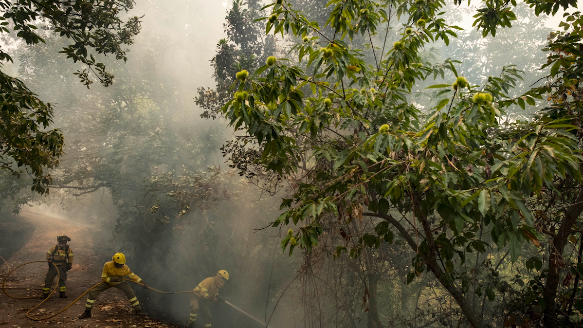 From Europe to Canada to Hawaii, photos capture destructive power of ...