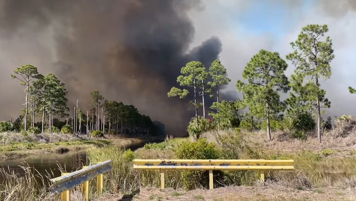 Crews battle 800-acre brush fire in Florida