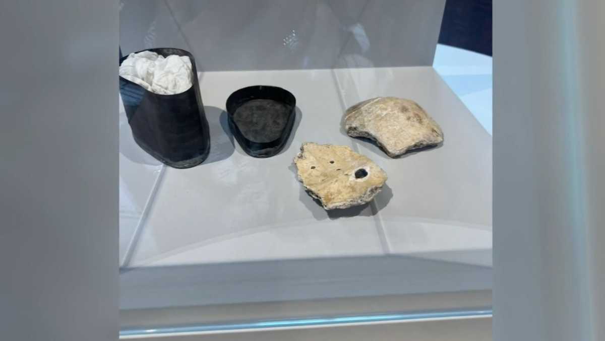 Video: Fragments of Beethoven's skull found in drawer