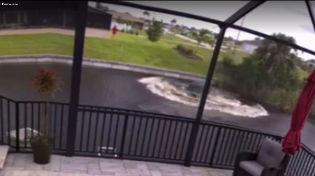 WATCH: Florida canal crash and rescue captured on video