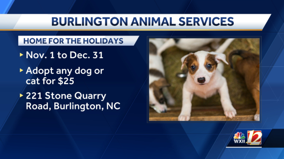 North Carolina: Burlington Animal Services' 'Home for the Holidays' $25 ...