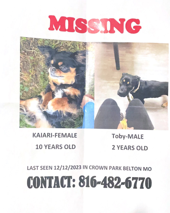 Family dogs wake 86-year-old grandmother, alert her of fire