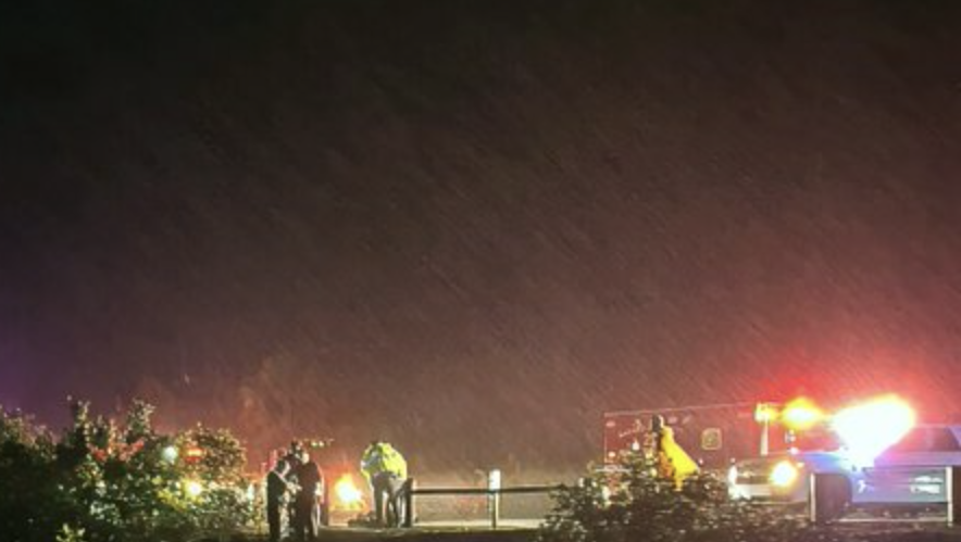 FWC officer saves man from sinking car