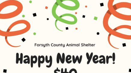 North Carolina: Winston-Salem's Forsyth County Animal Shelter offering ...