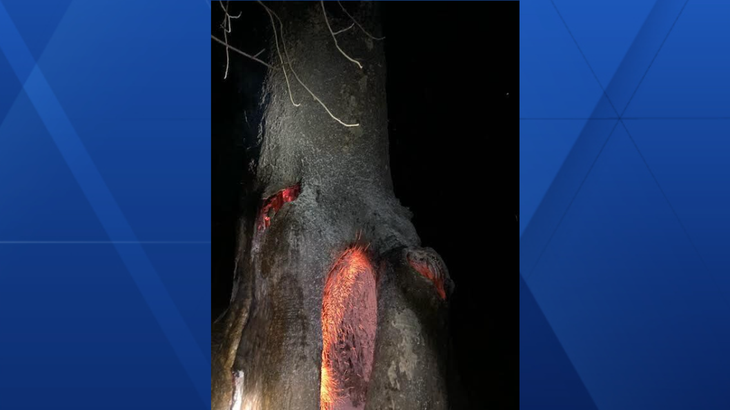 DNR looking for info on 'suspicious fire' that damaged state's largest ...