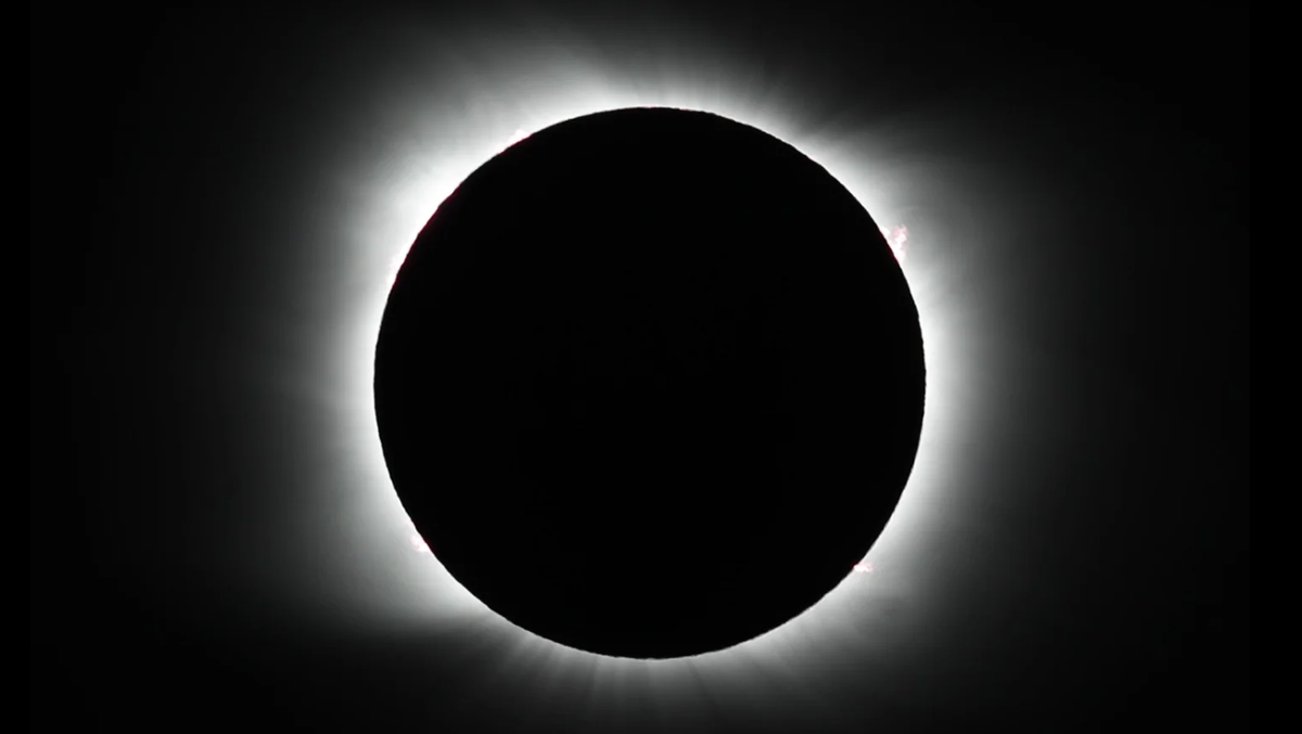 Solar eclipse viewing event held at Vulcan Park