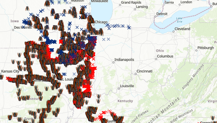 Map shows where dual cicada broods expected to emerge this spring