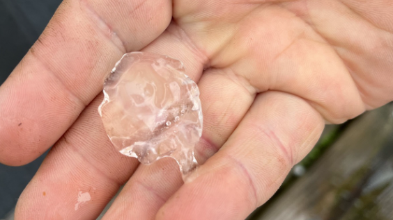 North Carolina: Viewer-submitted photos of hail in the Triad