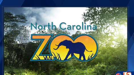 North Carolina Zoo has a special gift for moms this Mother's Day