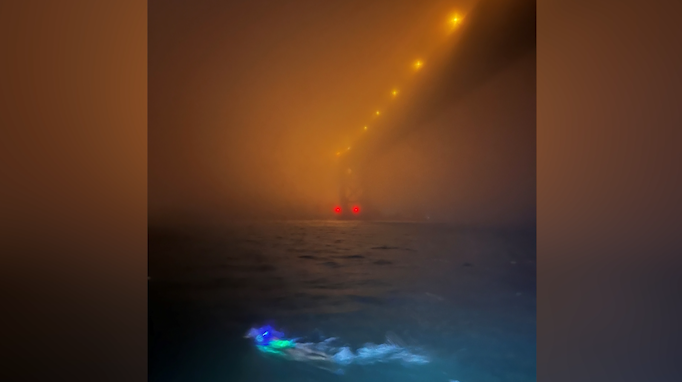 California swimmer Amy Appelhans Gubser braves shark-infested waters