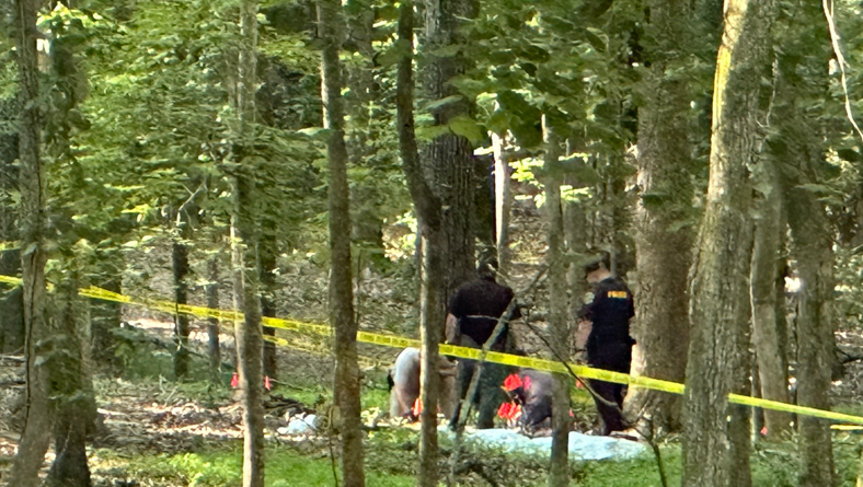 SC: Human bones found near high-end neighborhood