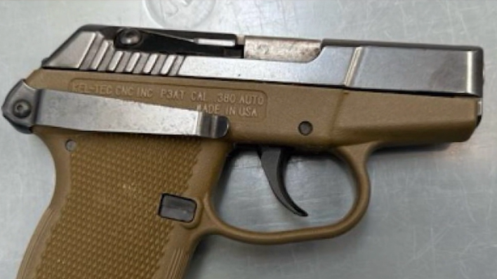 Indiana Rep. Victoria Spartz charged with bringing gun through airport ...