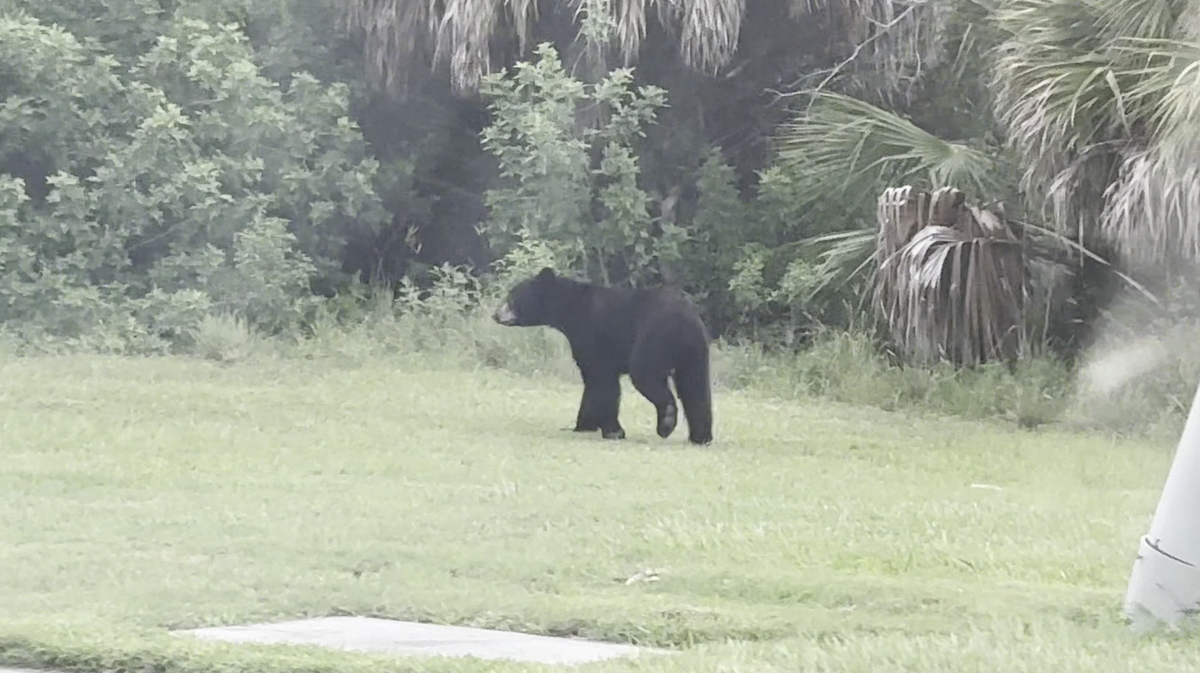 Sarah Mankowitz - Journalist Profile - Intelligent Relations