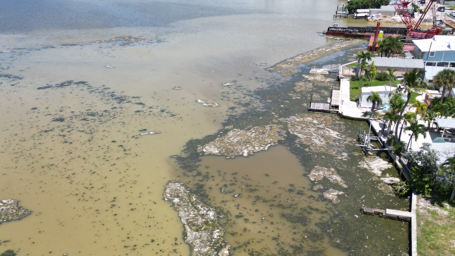 Southwest Florida water quality rated low after Tropical Storm Debbie ...