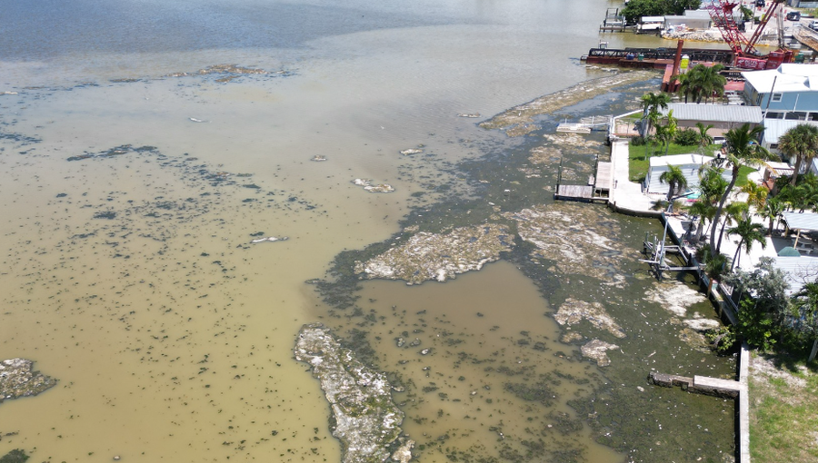 Fish Kill reported in Matlacha Pass: Hypoxic conditions expected