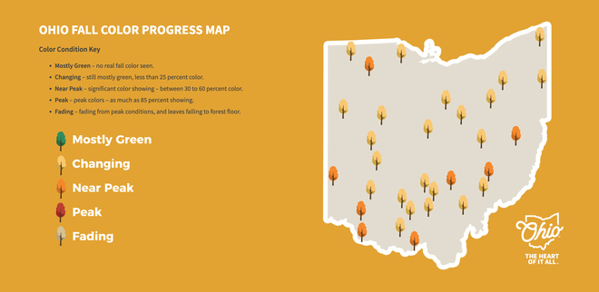 Ohio Department of Natural Resources: Fall color foliage nearing peak ...